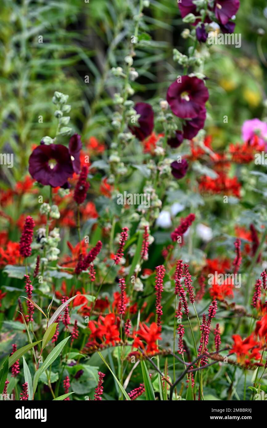 Hot colours hi-res stock photography and images - Alamy