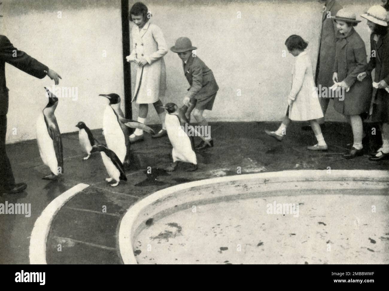 'At the London Zoo - at the Penguin Pool', 1939, (1947). The future ...
