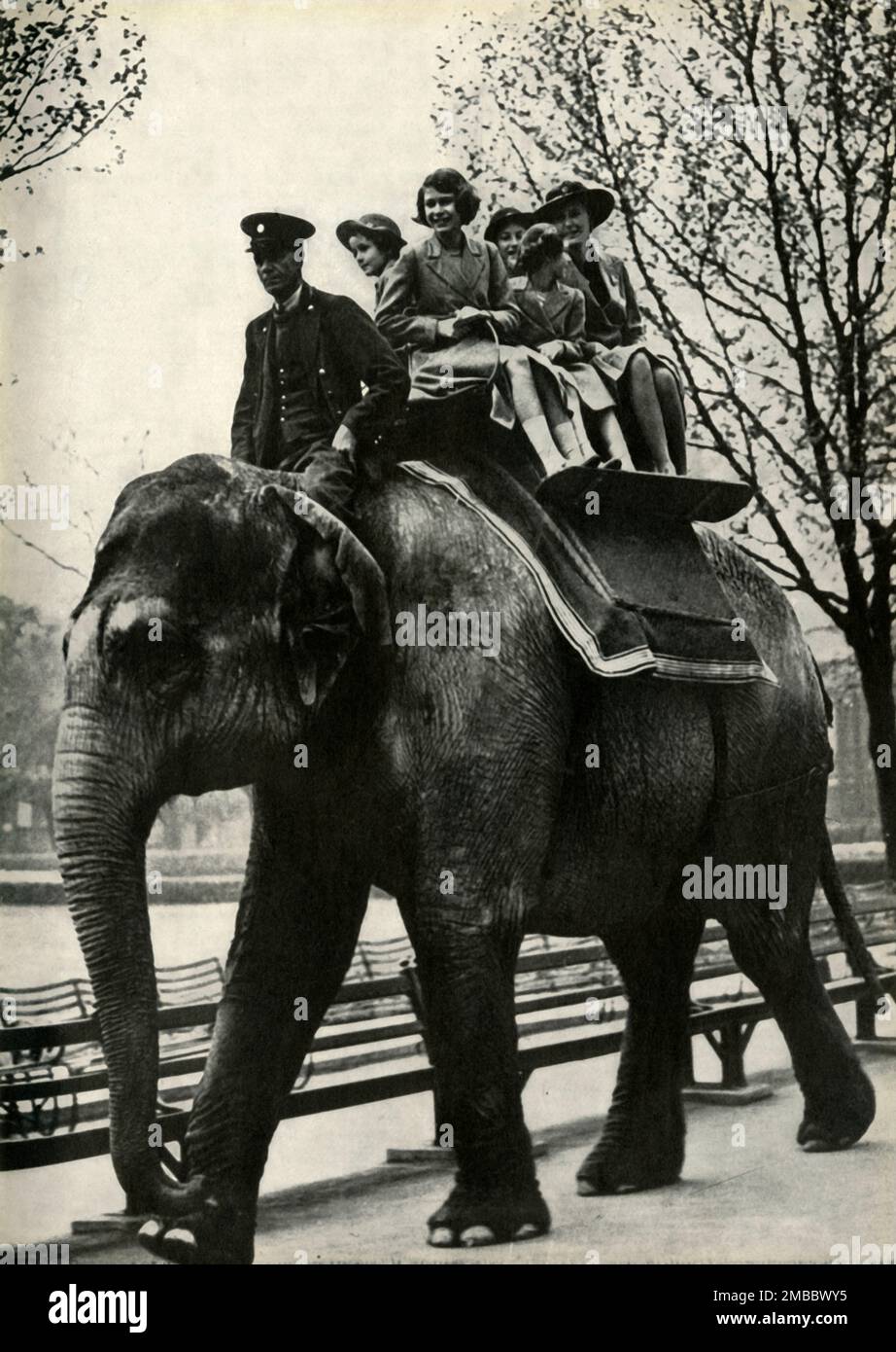 Princess alexandra gardens hi-res stock photography and images - Alamy