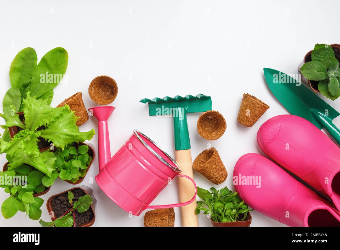 Seedling tool hi-res stock photography and images - Alamy