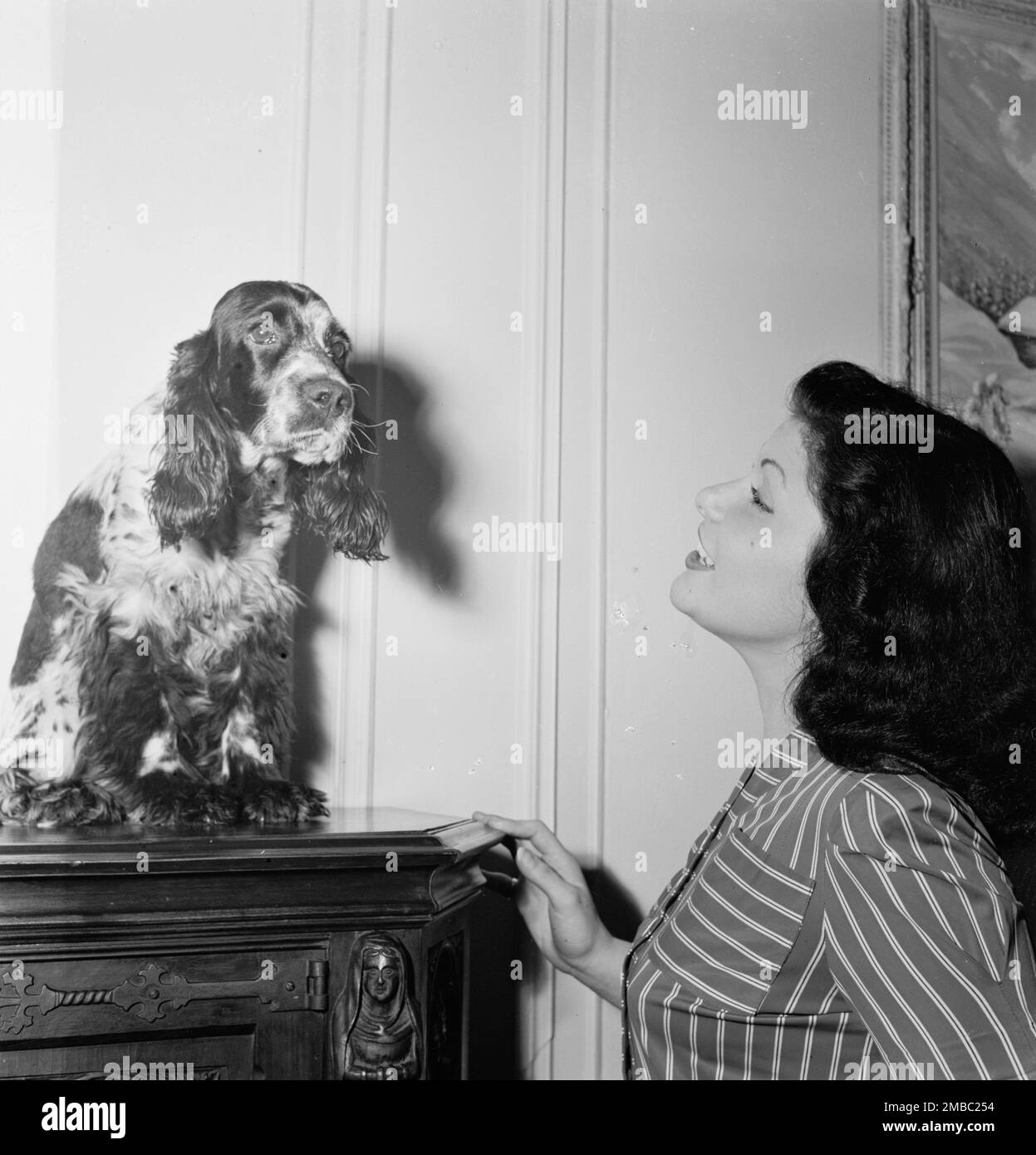 Lily ann carol hi-res stock photography and images - Alamy