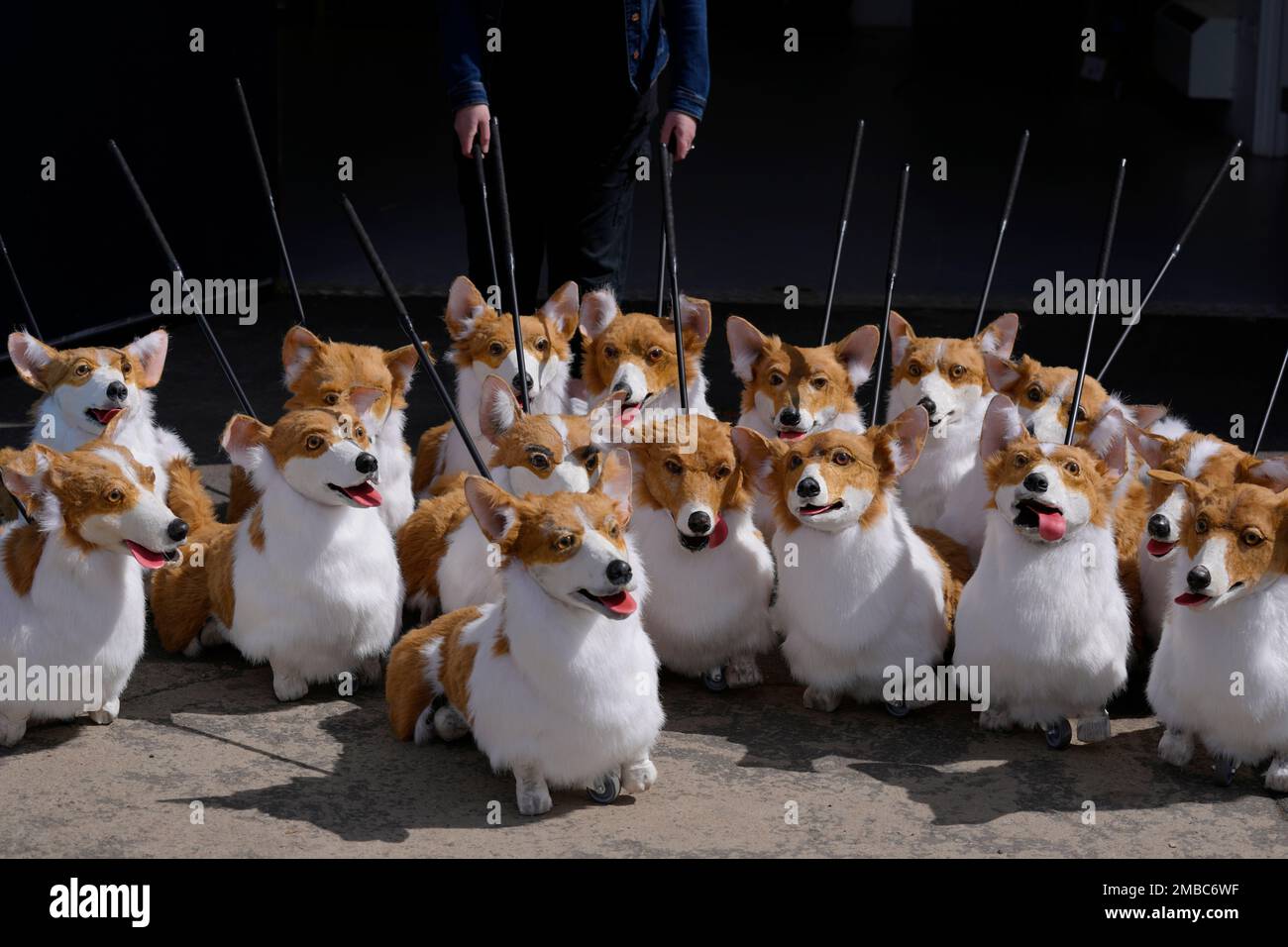 FILE - A group of corgi puppets made by puppet maker Louise Jones each ...