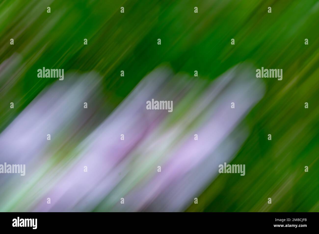 Morning glory abstract background blues and green Stock Photo - Alamy