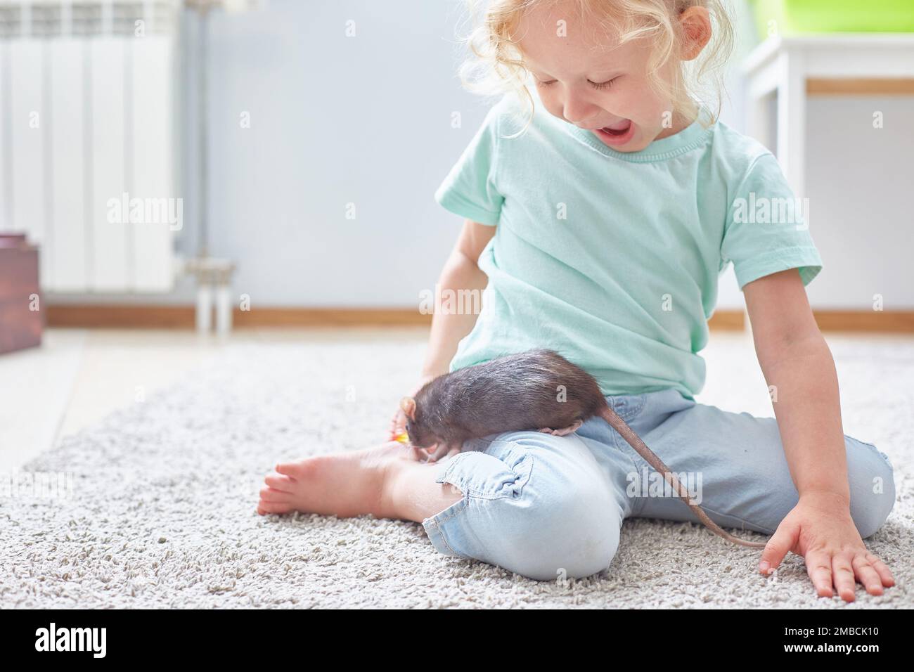 Human and pet mouse hi-res stock photography and images - Alamy