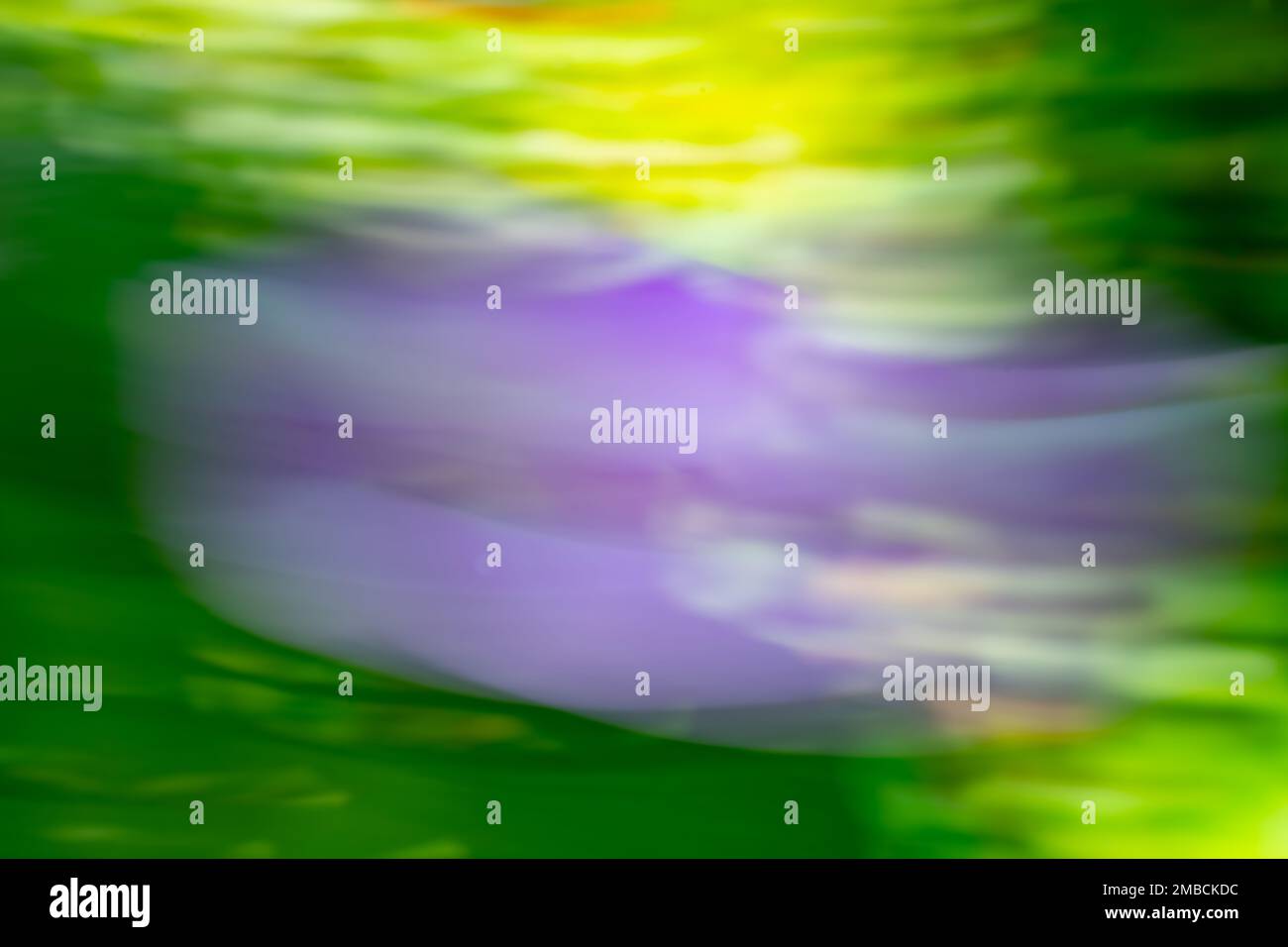 Abstract background motion blur flowers and foliage Stock Photo - Alamy