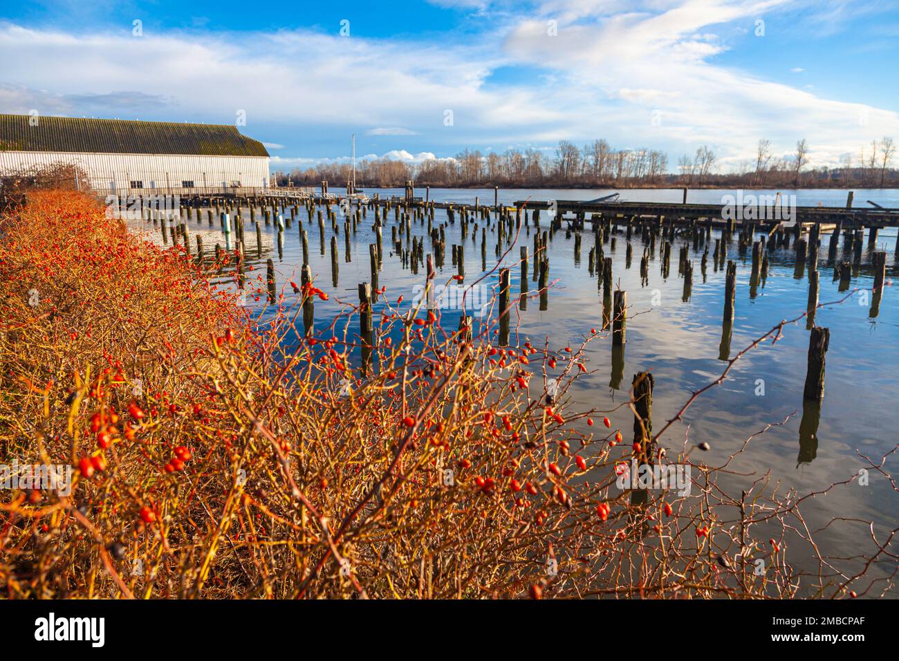 Evidence of former fish canneries along the Steveston waterfront in ...