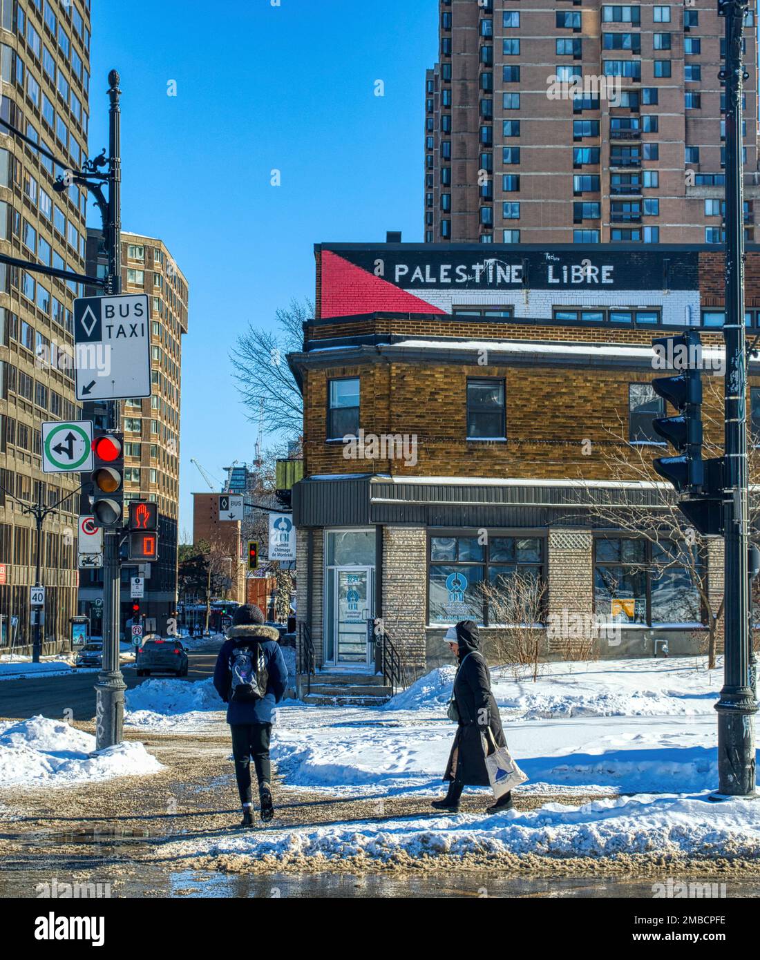 A vertical shot of a street in Montreal in winter with "Palestine Libre ...