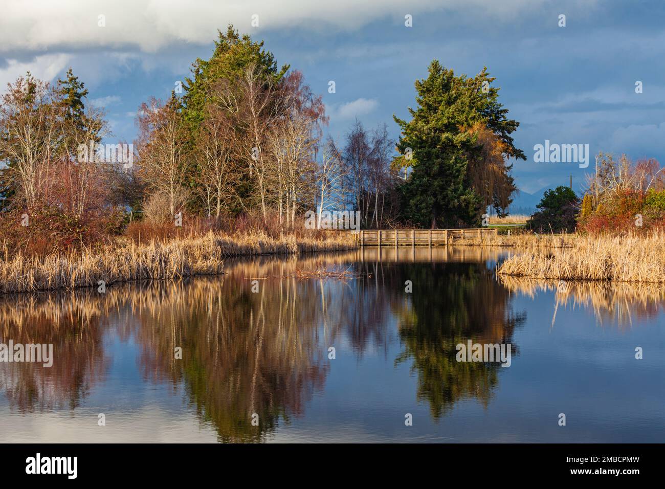 Idyllic scene across a sheltered coastal pond in Richmond British ...