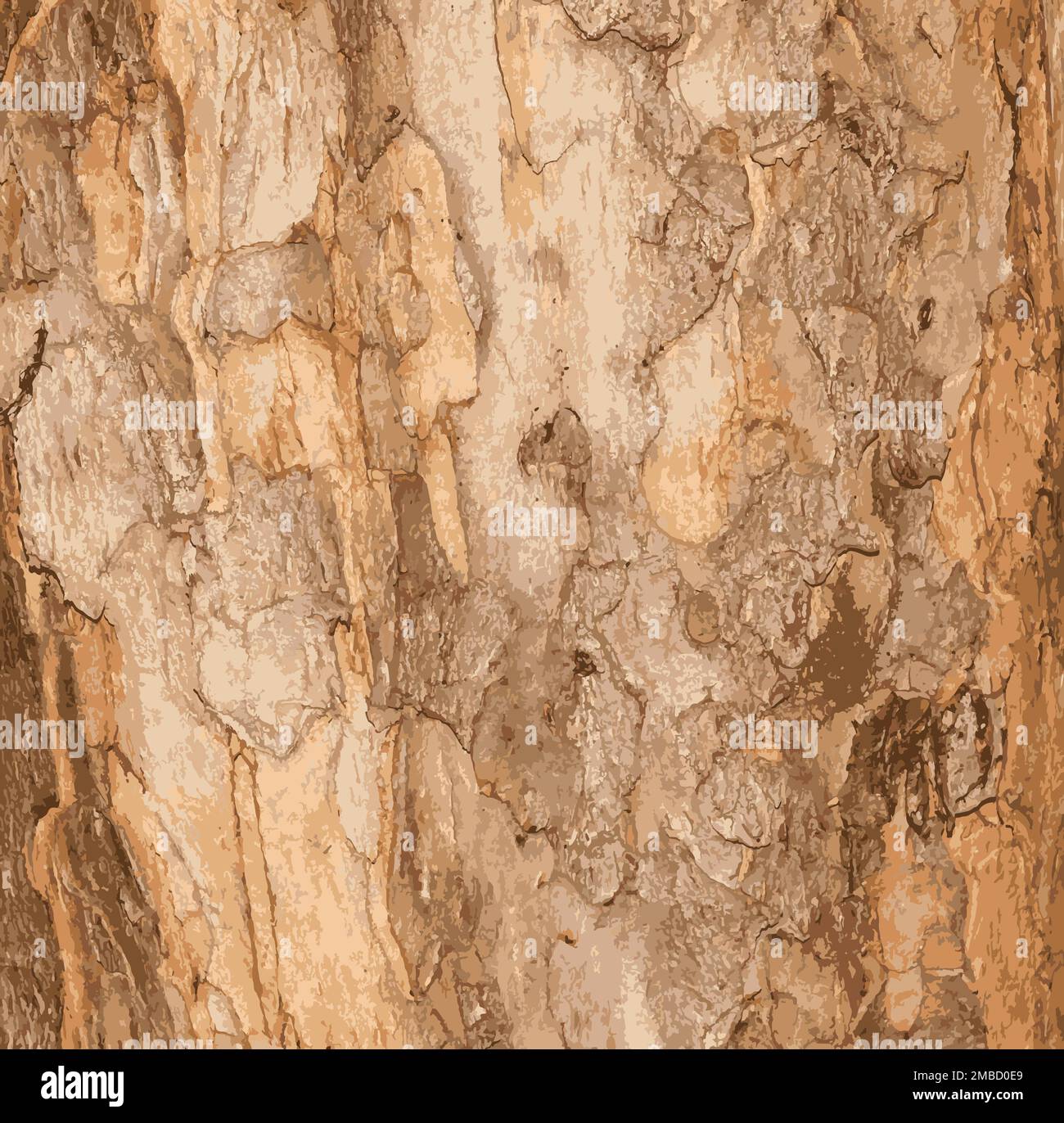 Realistic illustration of natural yew bark abstract background. Taxus ...