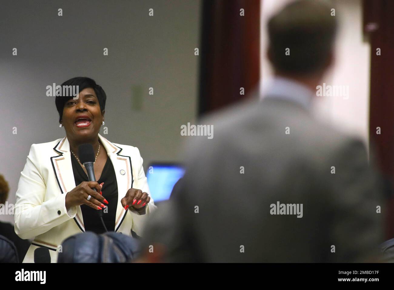 Rep. Dianne Hart, D-Tampa, asks a question of Rep. Jay Trumbull, R ...