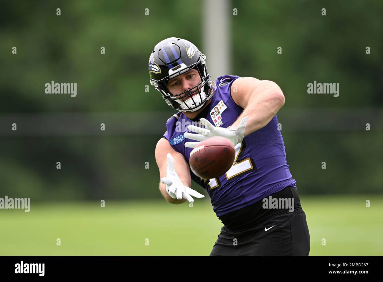 Baltimore Ravens' Patrick Ricard reaches for a pass during NFL football ...