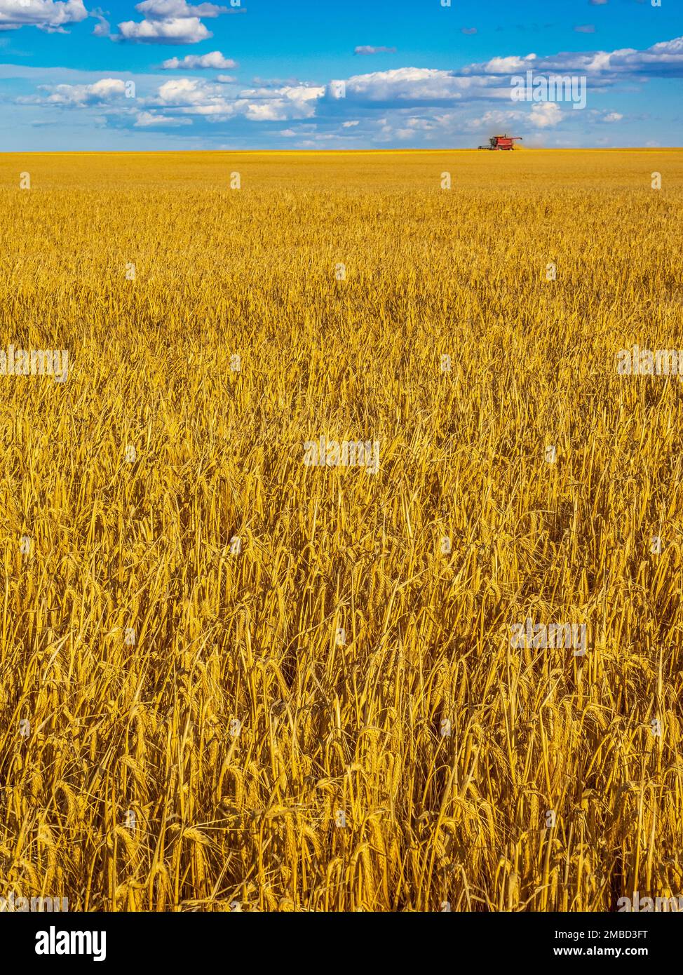 Alberta canada prairies agriculture hi-res stock photography and images ...