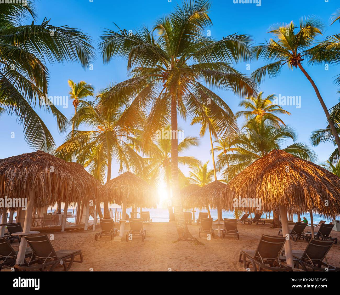Tropical carribbean beach Stock Photo - Alamy