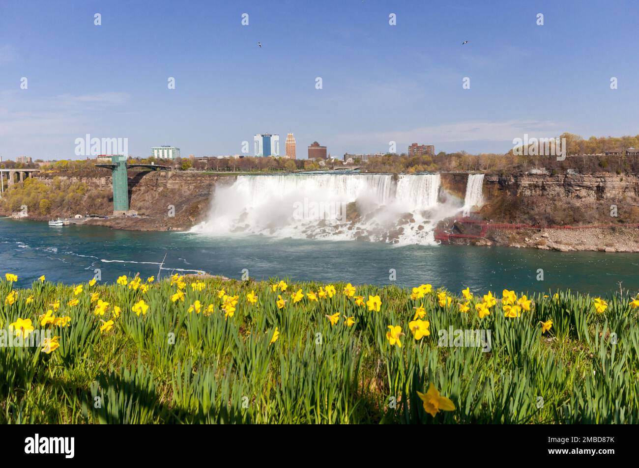 View at Niagara Falls and flowers from Canadian side in spring season ...