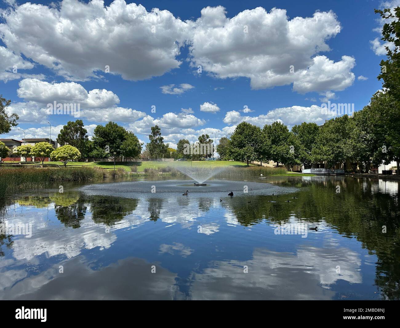 A water fountain in a lake surrounded by trees under blue cloudy sky ...