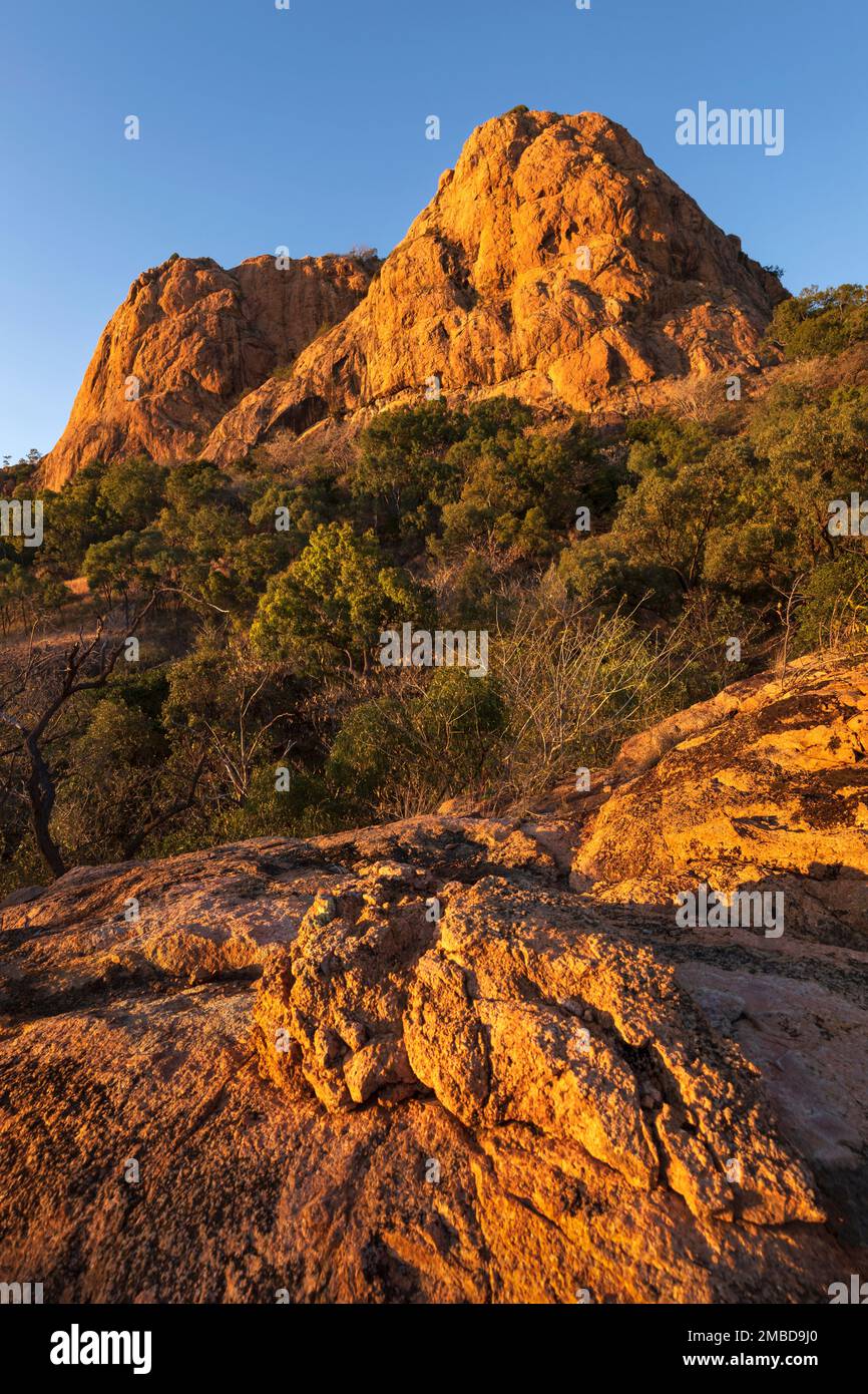 A vertical shot of the Castle Hill mountain at dawn and sunrise in ...