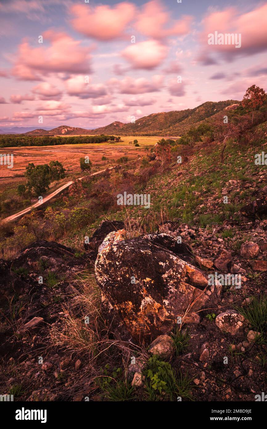 A vertical shot of the Dawn at Cape Pallarenda Conservation Park in ...
