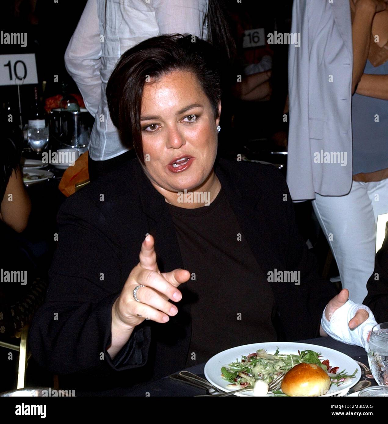 Rosie O'Donnell at the 2002 Women in Film Crystal Awards Credit: Ron ...