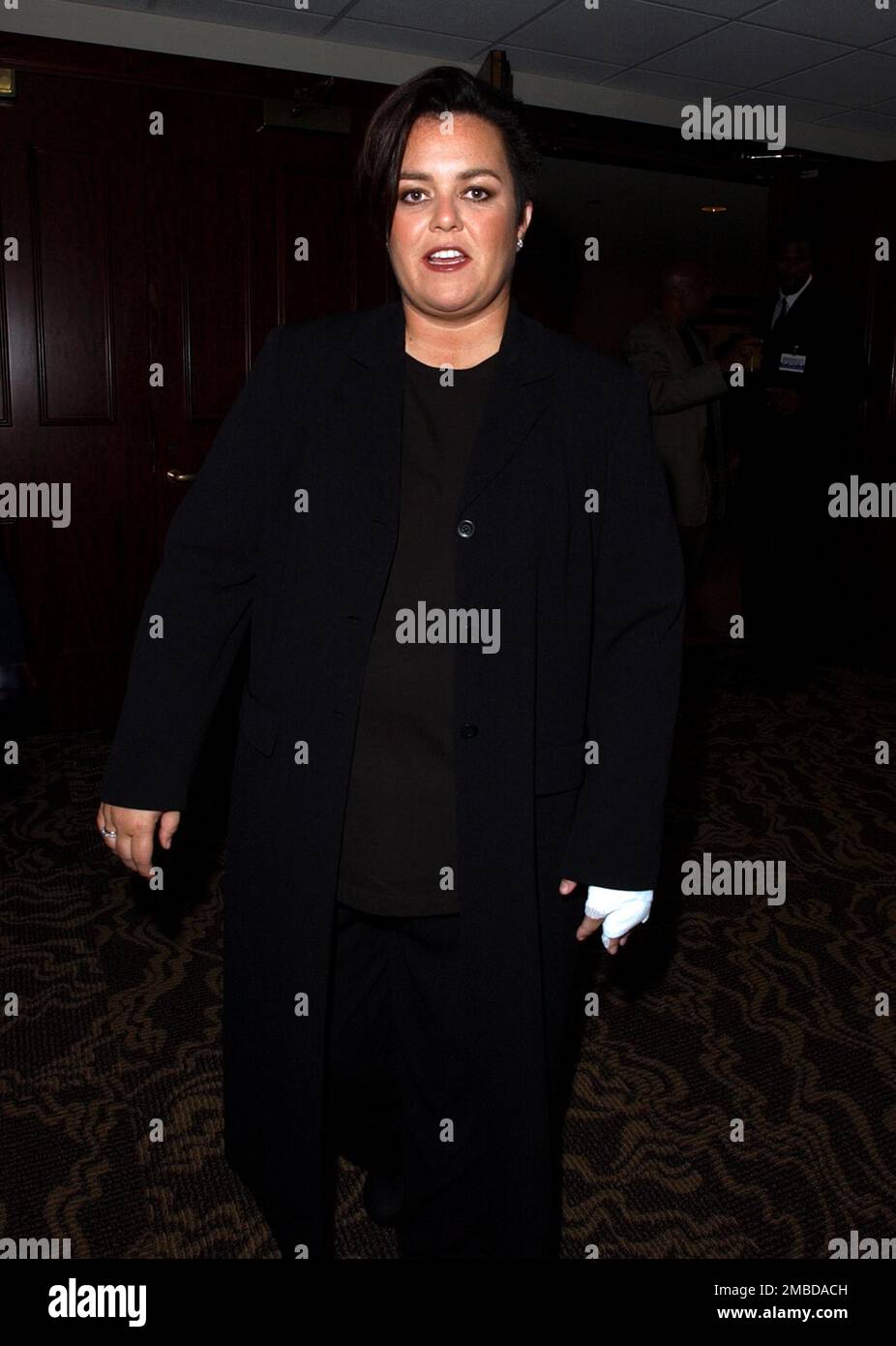 Rosie O'Donnell at the 2002 Women in Film Crystal Awards Credit: Ron ...