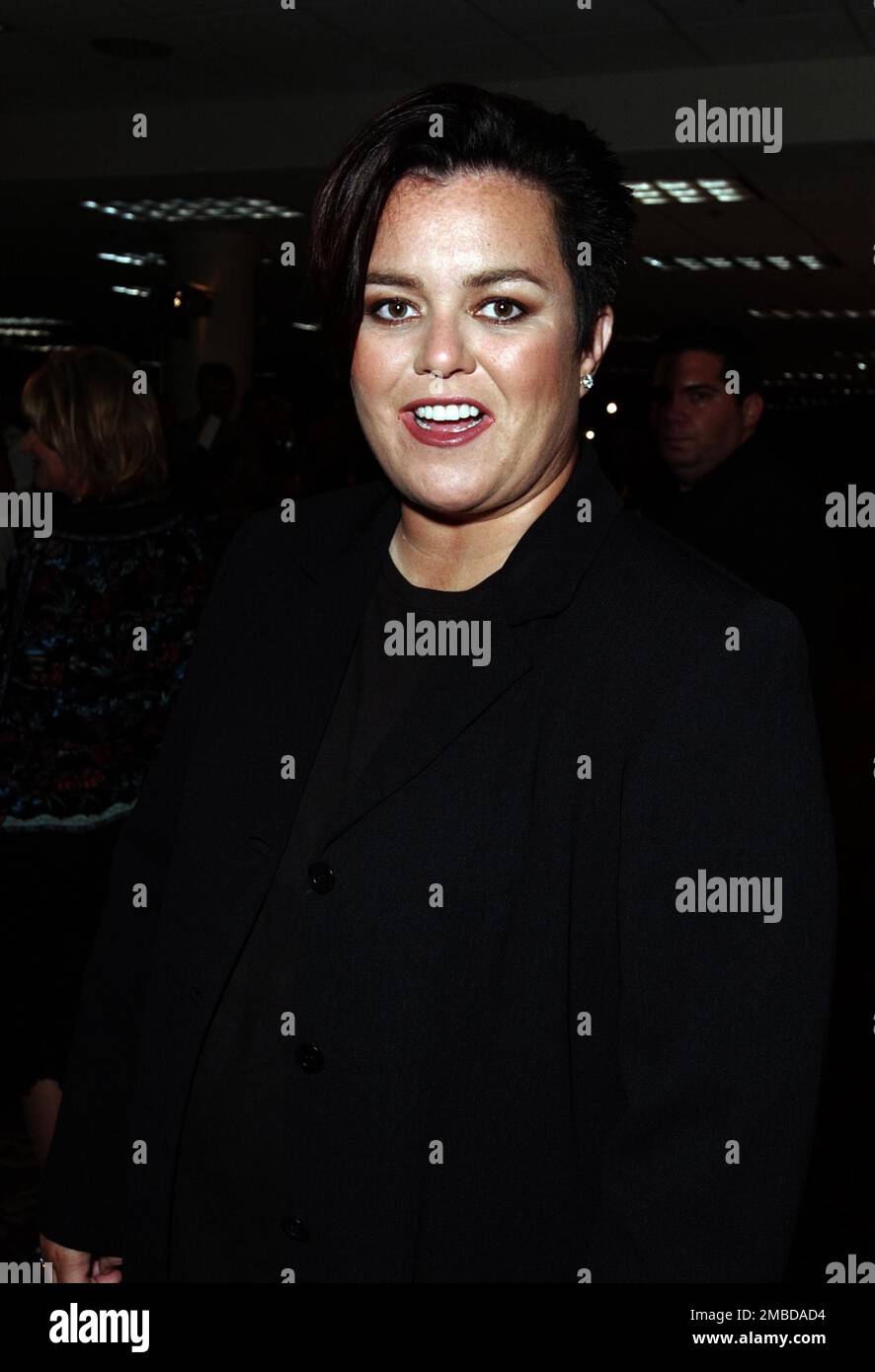 Rosie O'Donnell at the 2002 Women in Film Crystal Awards Credit: Ron ...
