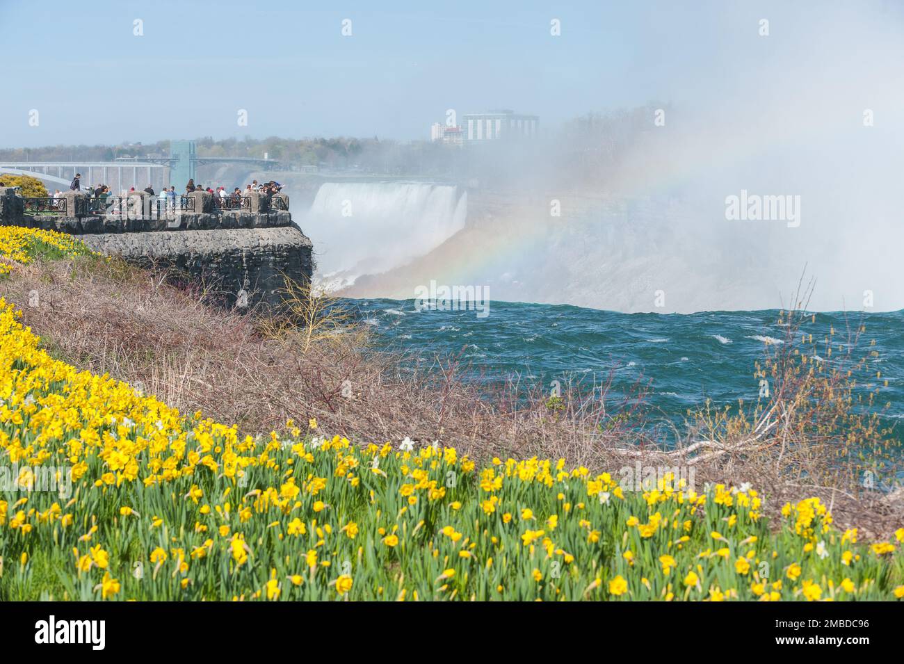 View at Niagara Falls and flowers from Canadian side in spring season ...