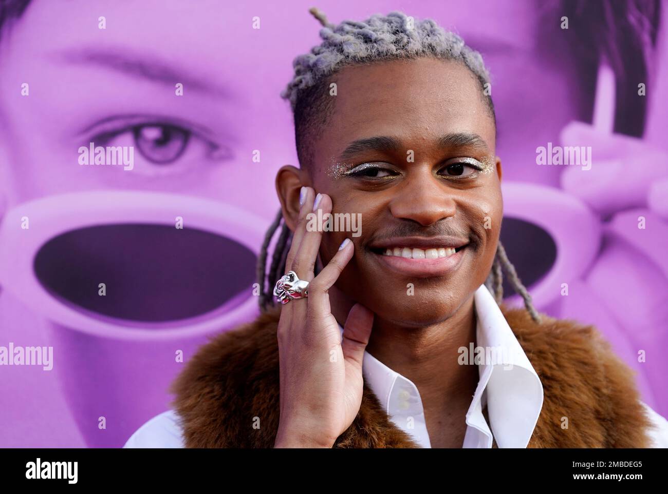 Tyrel Jackson Williams poses at the premiere of the film "Hollywood ...