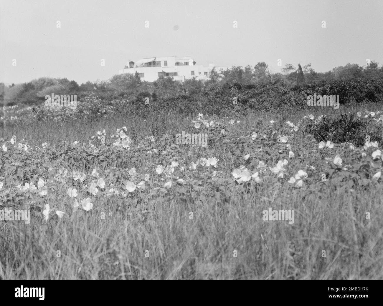 Tyng lucien hamilton hi-res stock photography and images - Alamy
