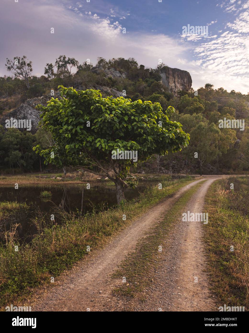 The Golden hour at Cape Pallarenda Conservation Park in Townsville, Far ...