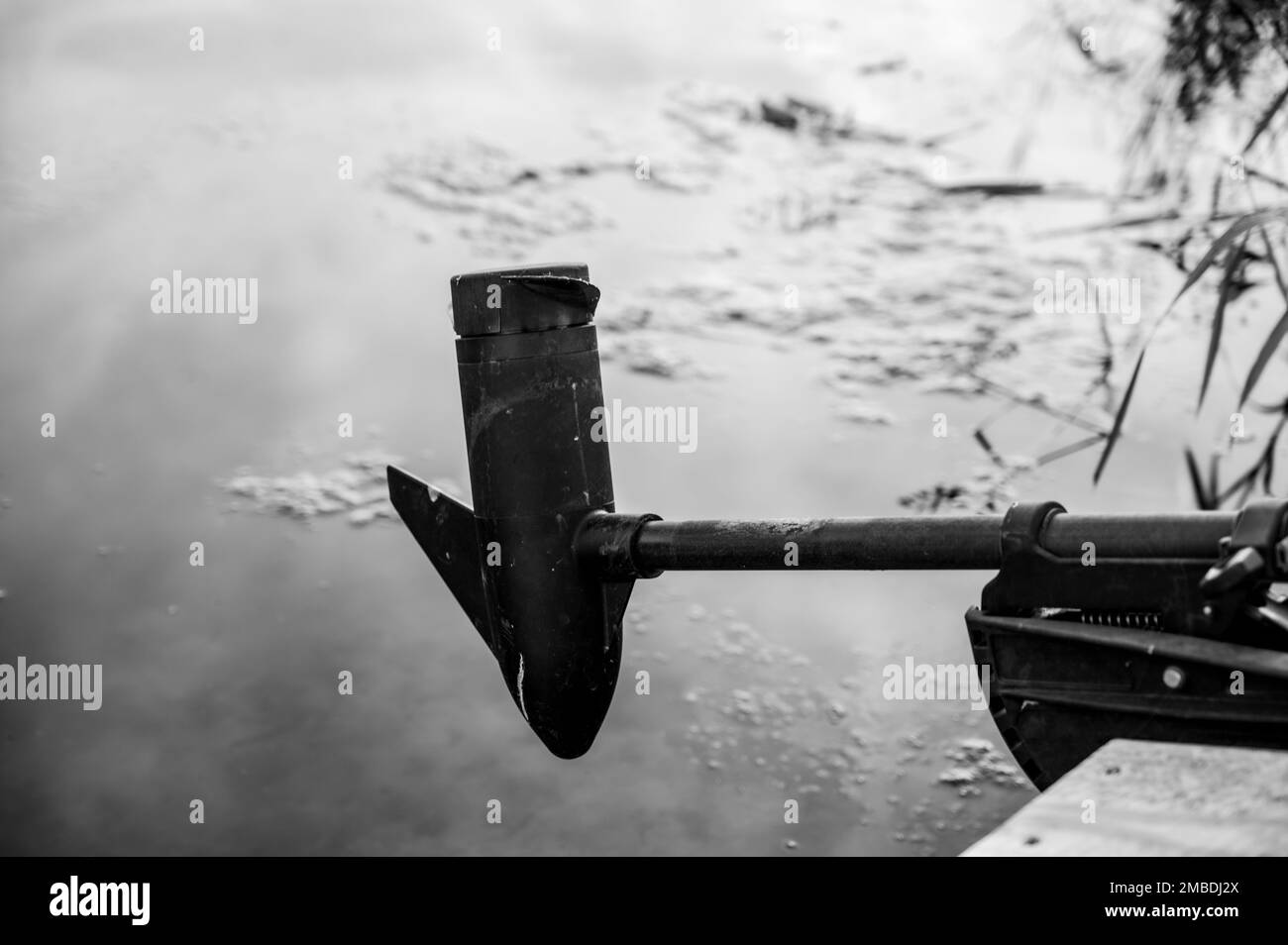 Boat trolling outboard motor extended over mossy water Stock Photo - Alamy