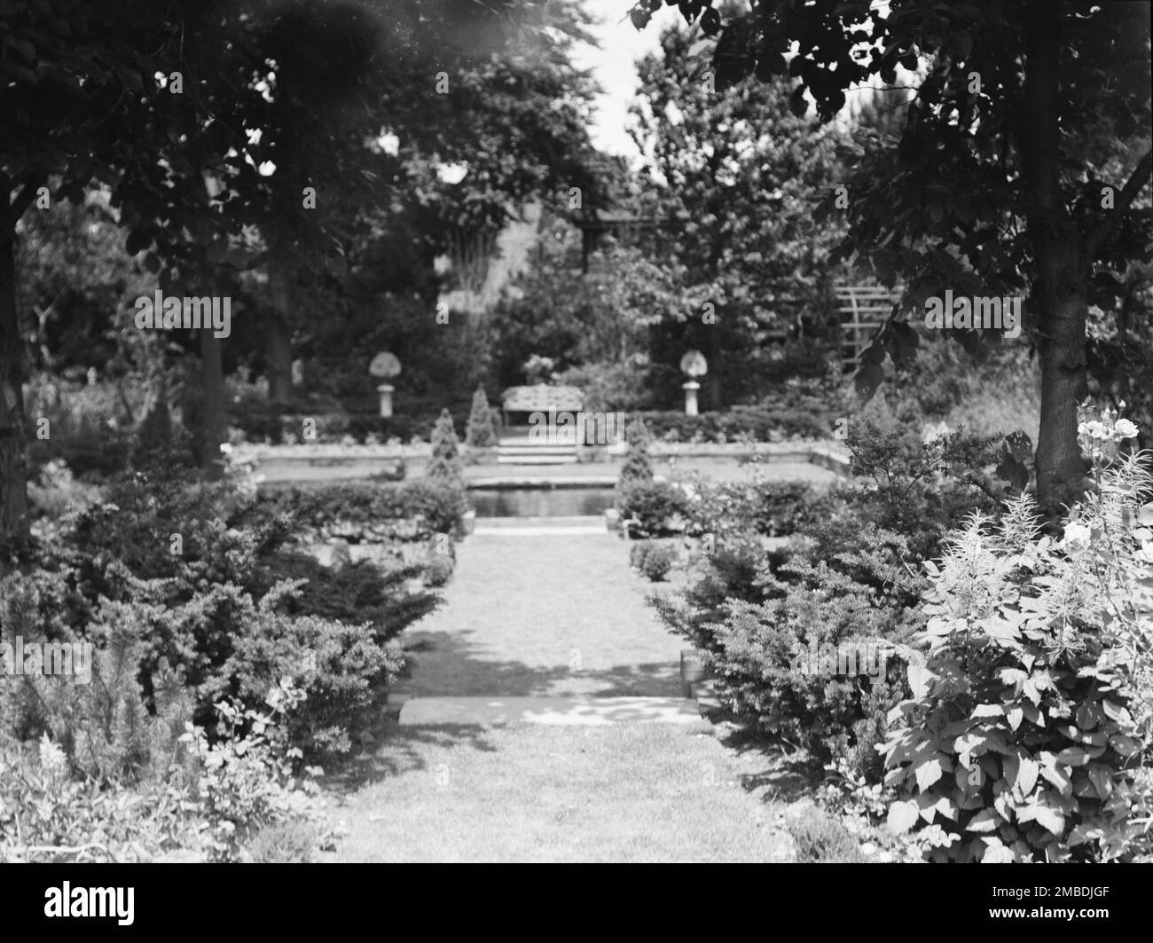 Colour tree trees garden Black and White Stock Photos & Images - Alamy