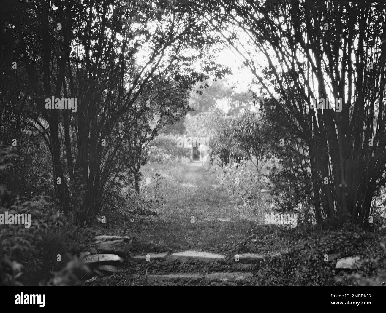 Cosgrave grounds, not before 1917 Stock Photo - Alamy