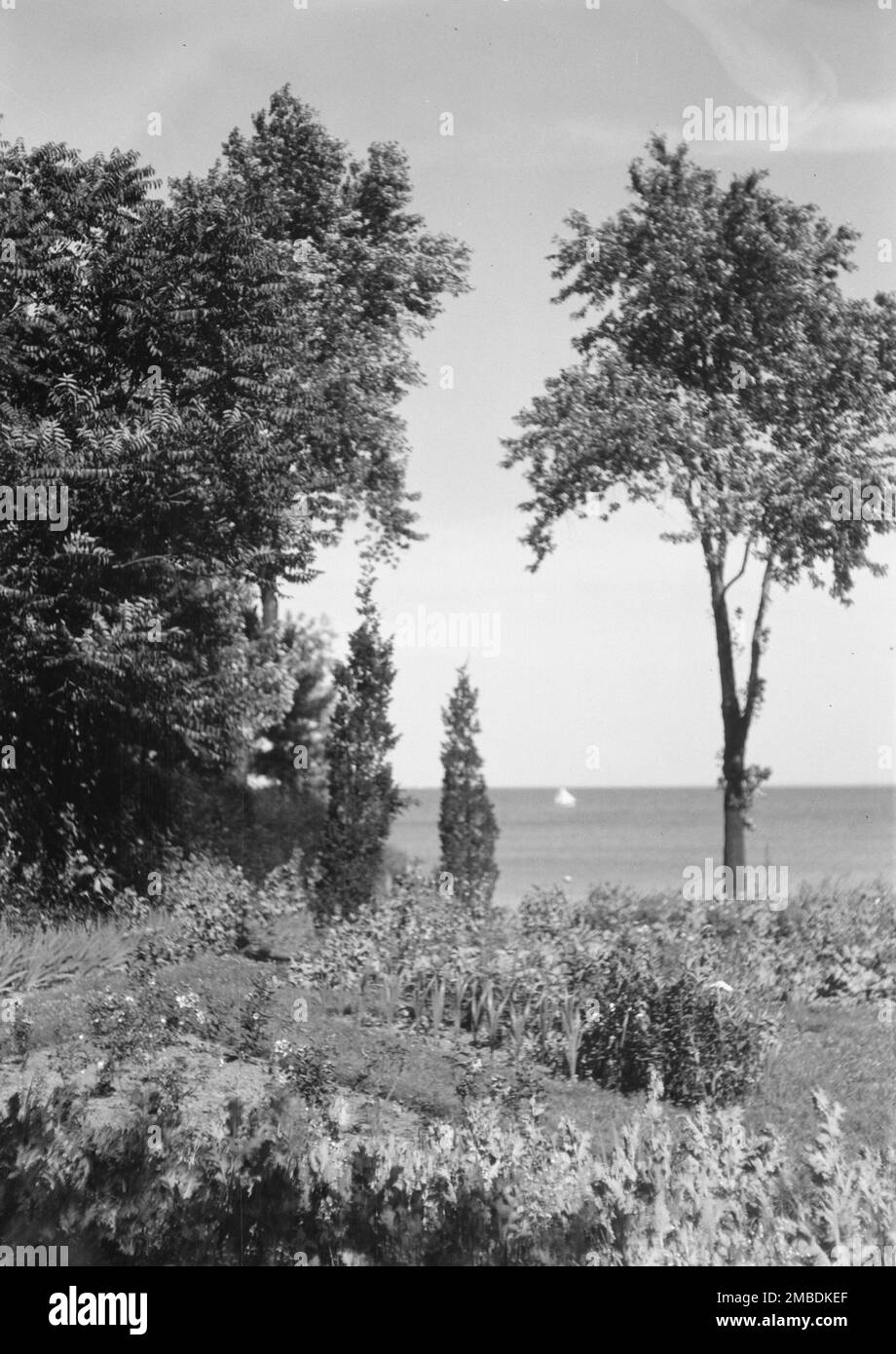 Cosgrave grounds, not before 1917 Stock Photo - Alamy