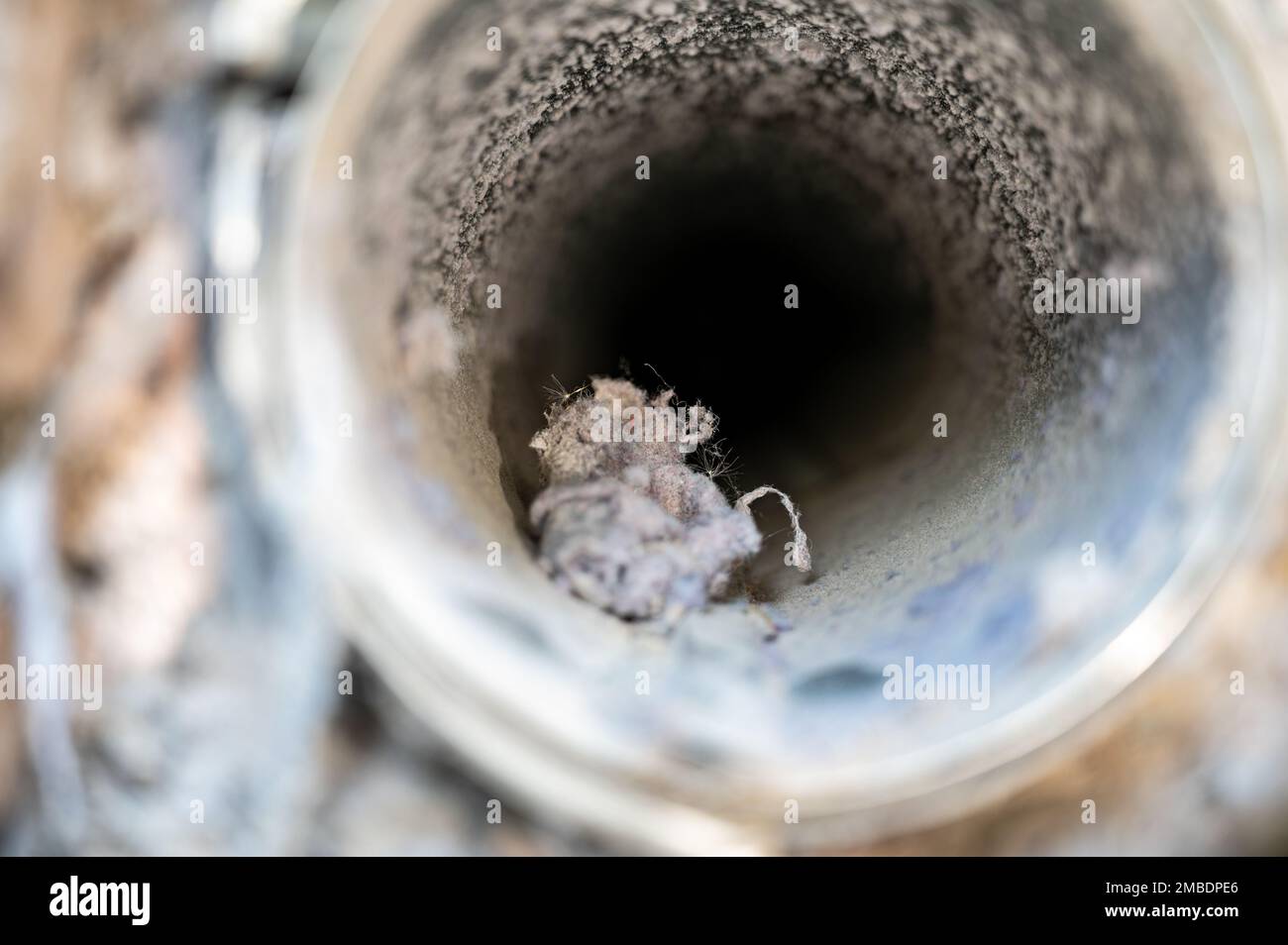 Interior view of dryer vent line with lint and dust buildup Stock Photo ...