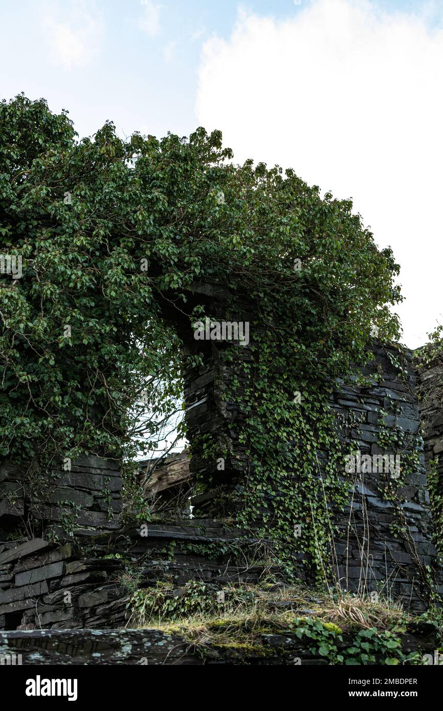 A vertical shot of an ancient building near the tree on a sunny day ...