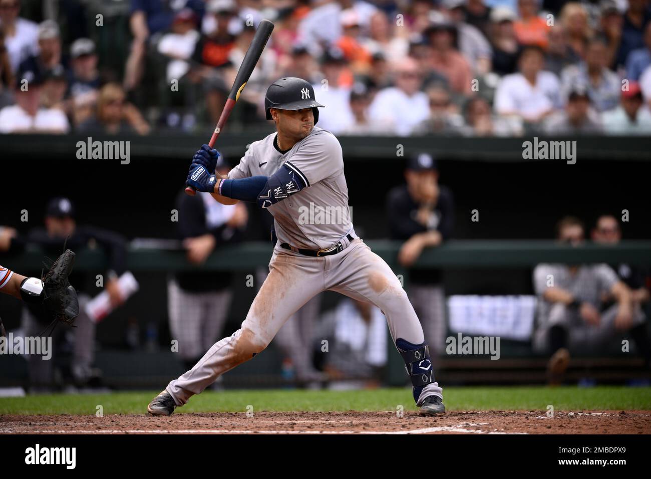 New York Yankees' Isiah Kiner-Falefa in action during a baseball game ...
