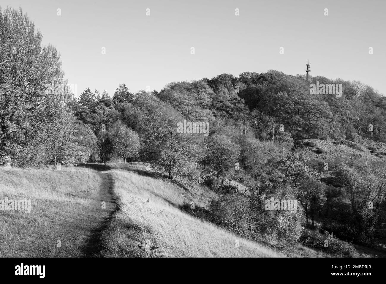 Landscape photo of the Admiral Hood Monument on the Polden Way footpath ...