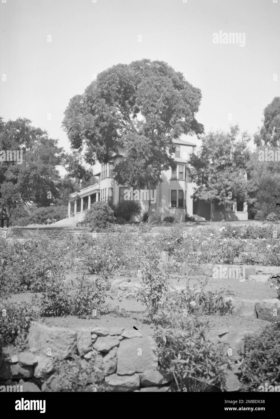 Stevenson, Robert Louis, Mrs., house, 1921 or 1922 Stock Photo - Alamy