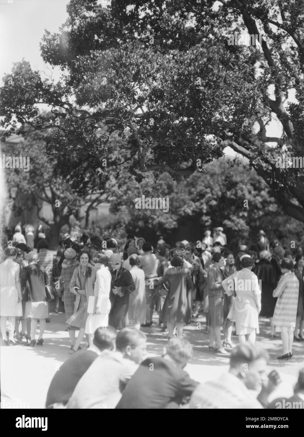 University student women group Black and White Stock Photos & Images ...