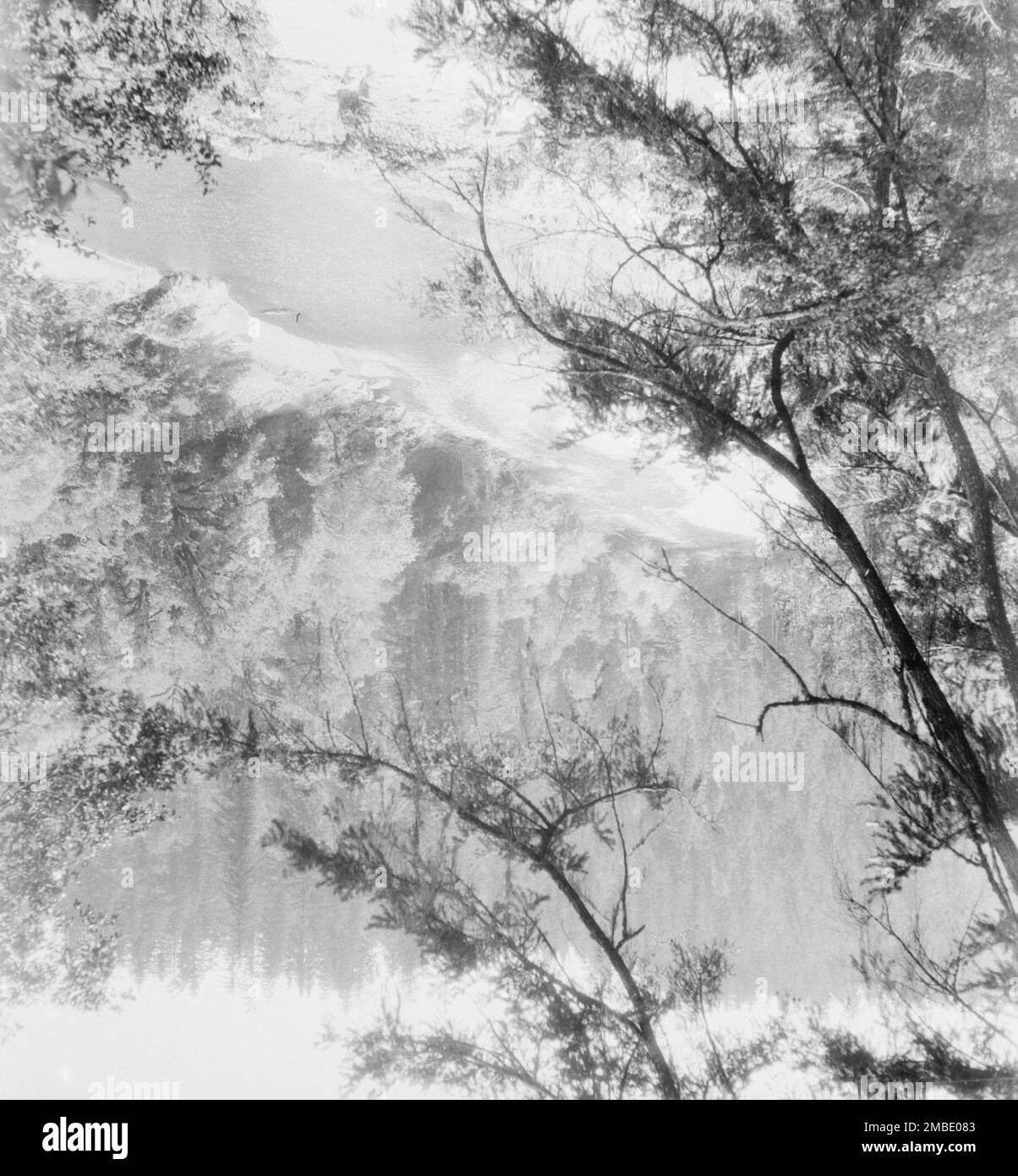 Landscape view of a wooded valley with a river, between 1911 and 1942 ...