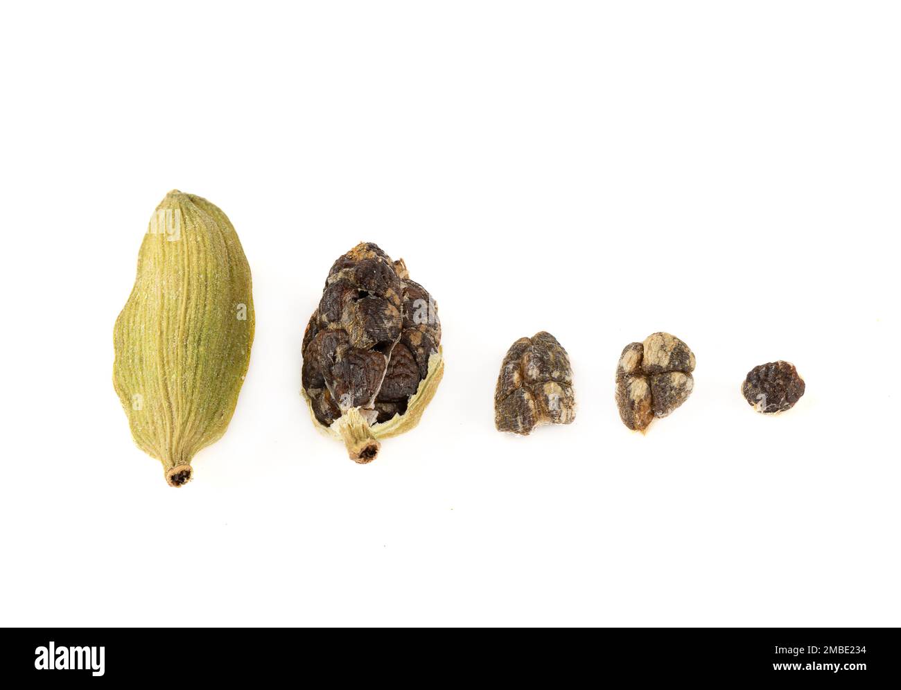 A row of cardamom from a whole green pod to a seed on a white ...