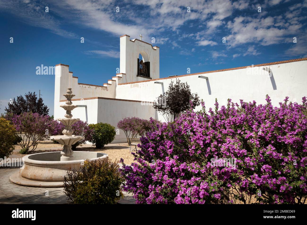 Purple flowers line the side of the Socorro Mission, on the El Paso ...