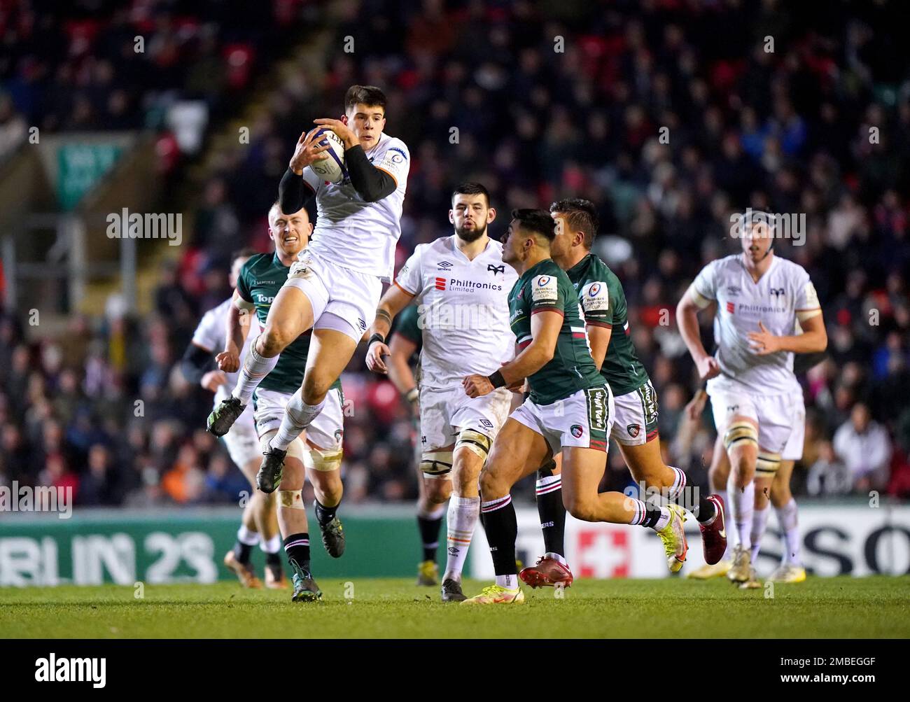 Joe hawkins ospreys hi-res stock photography and images - Alamy
