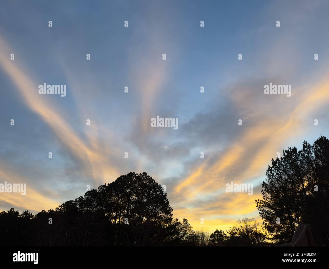 Dramatic morning sky clouds above trees silhouette background Stock ...
