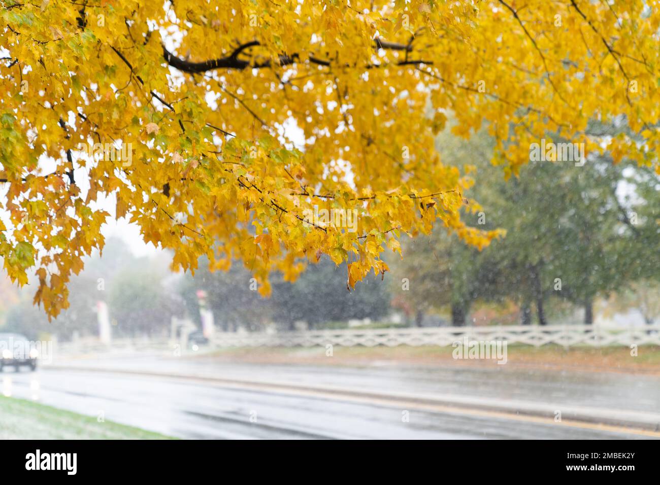 SNOW SHOWERS IN AUTUMN Stock Photo - Alamy