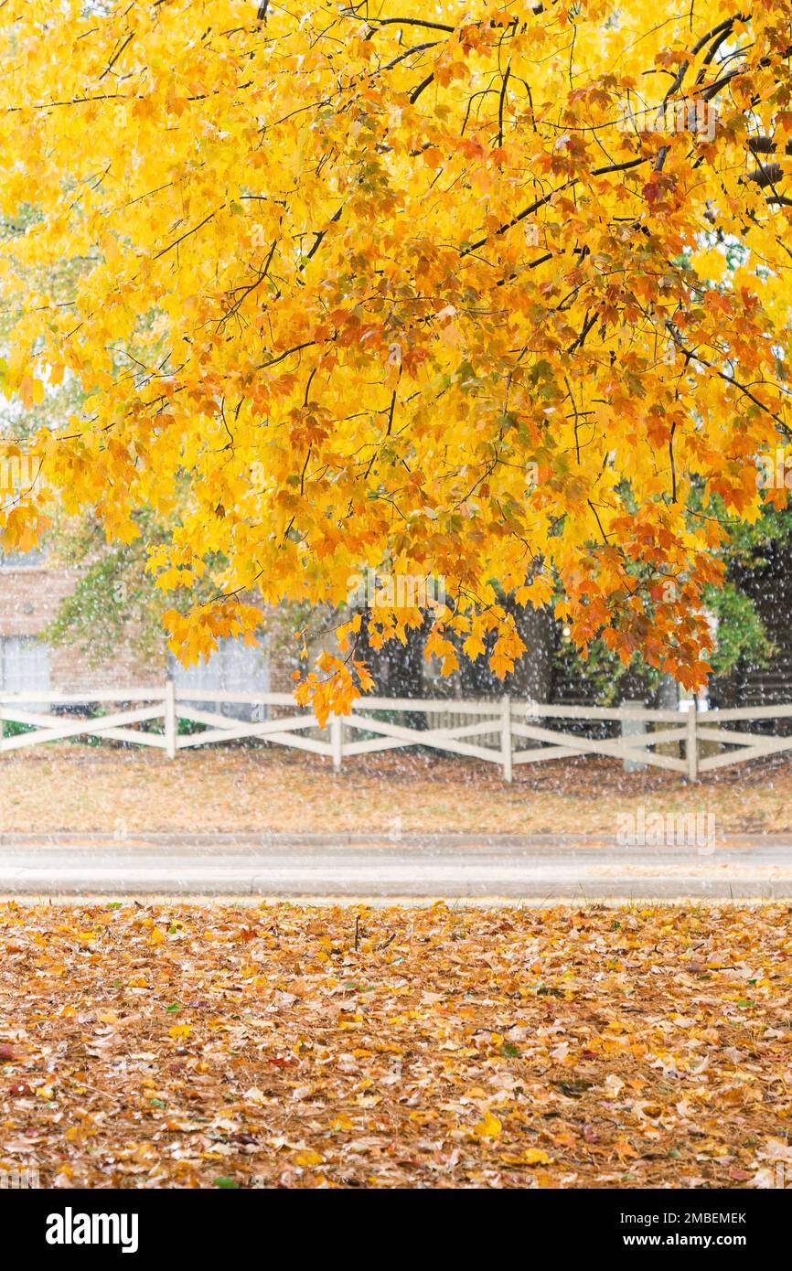 SNOW SHOWERS IN AUTUMN Stock Photo - Alamy