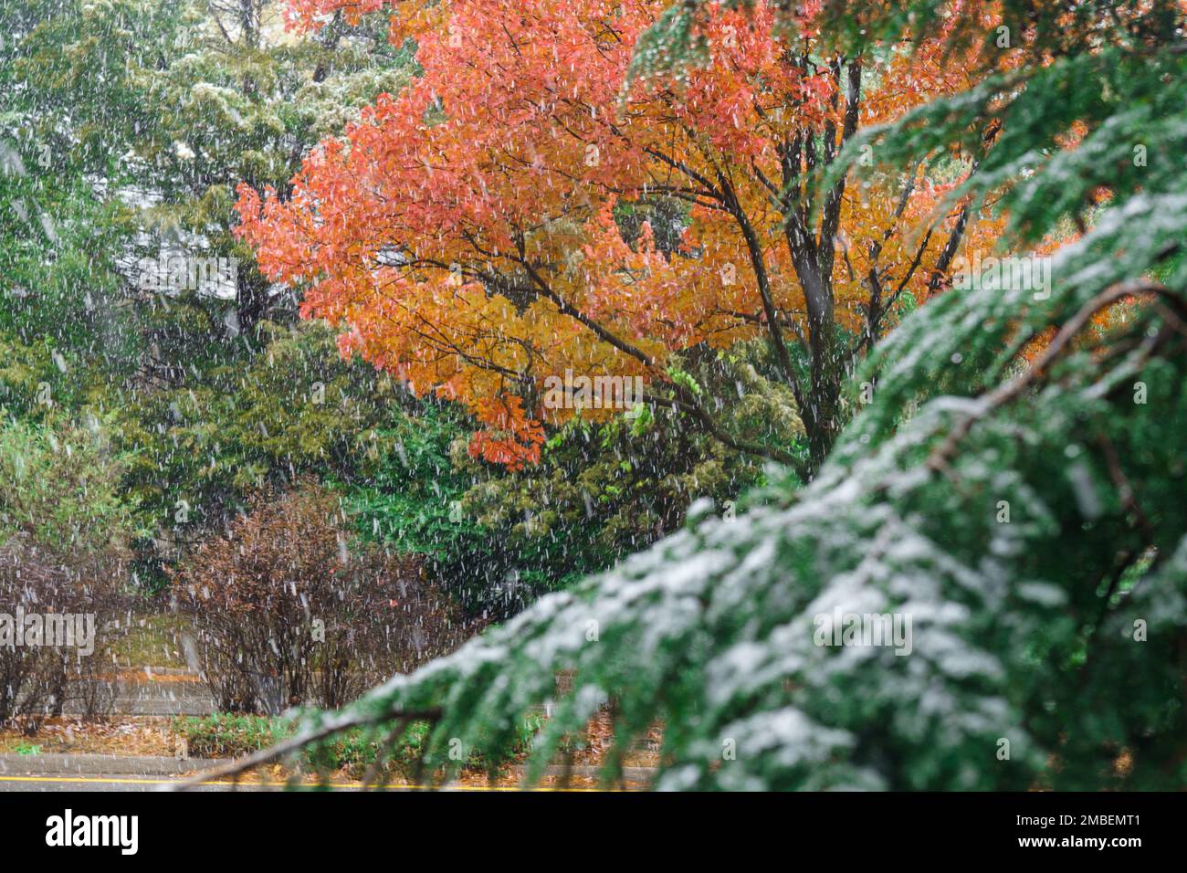 SNOW SHOWERS IN AUTUMN Stock Photo - Alamy
