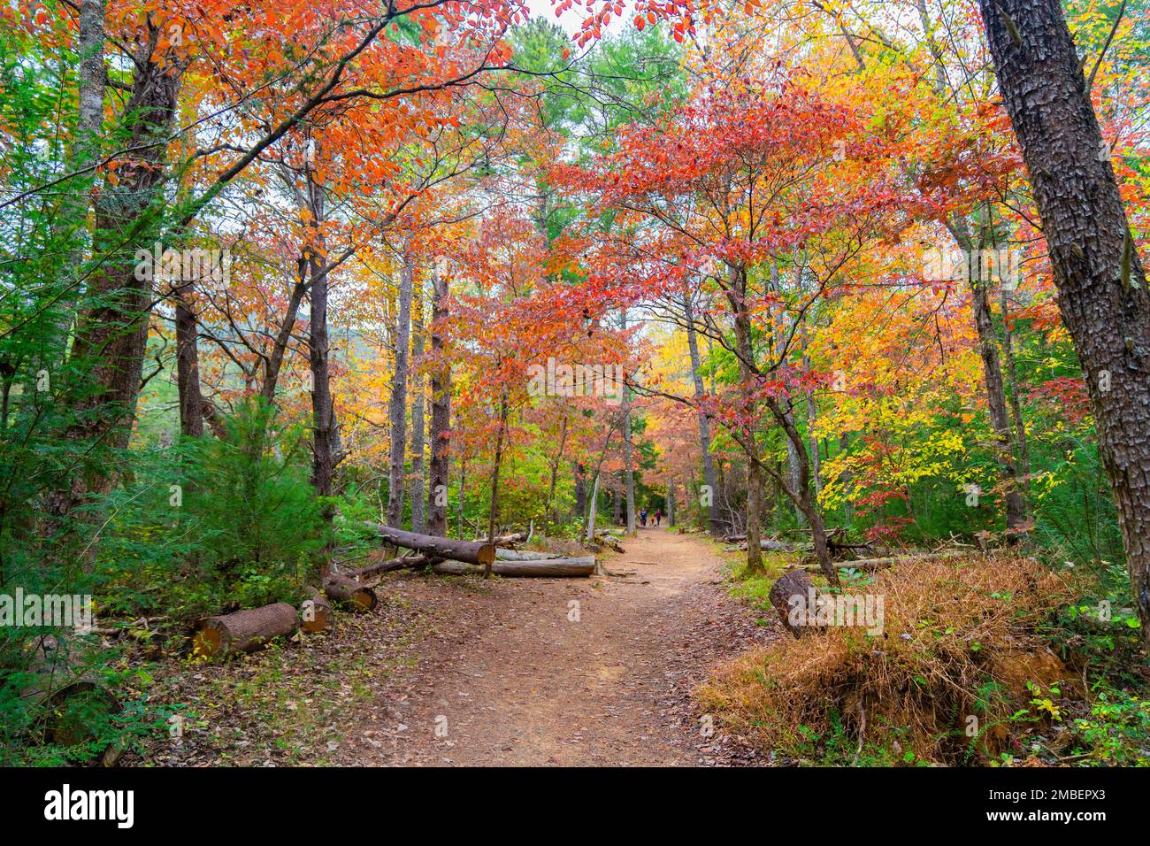 Great Smoky Mountains during autumn fall colors Stock Photo - Alamy