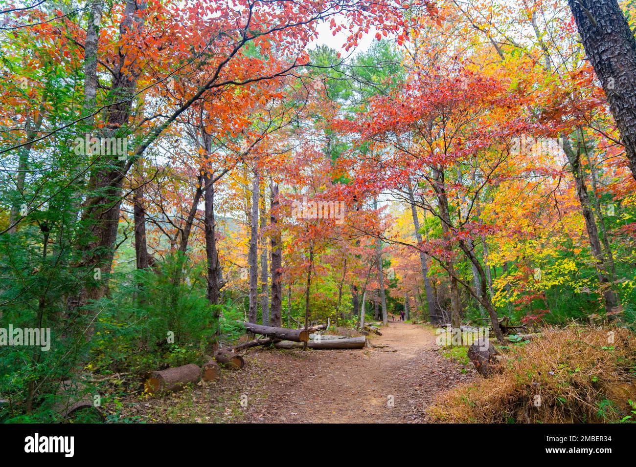 Great Smoky Mountains during autumn fall colors Stock Photo - Alamy