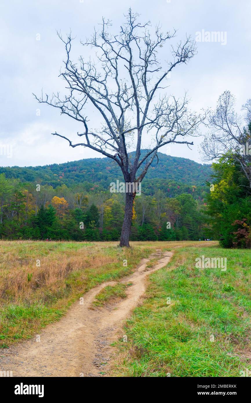 Great Smoky Mountains during autumn fall colors Stock Photo - Alamy