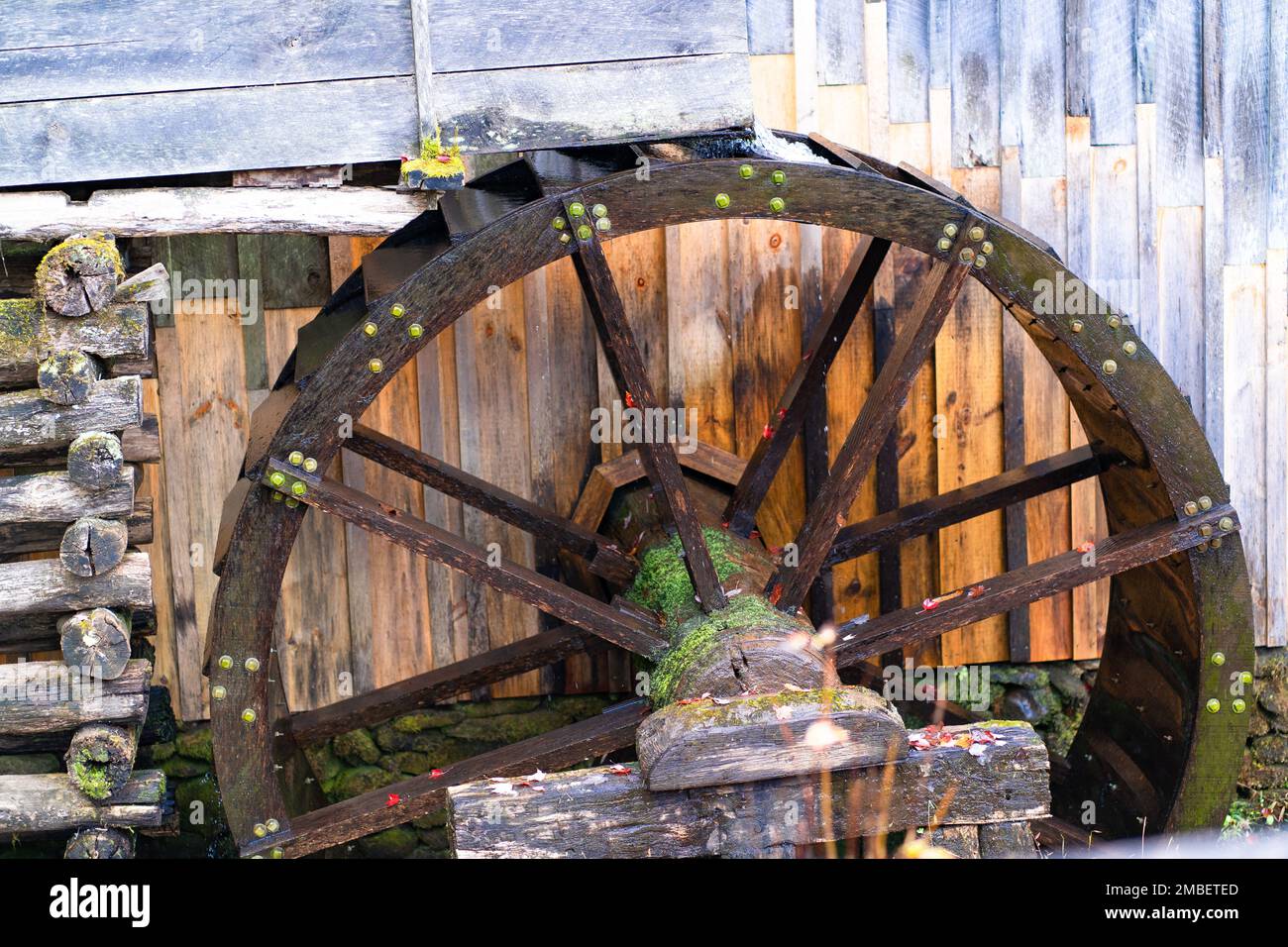 Great Smoky Mountains during autumn fall colors Stock Photo - Alamy